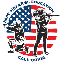 Taser for Civilians & Security Officers | South Bay Area | Safe ...