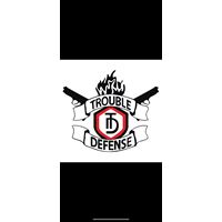 Trouble Defense LLC, Sheena Parker, Washington DC, Fairfax VA, northern ...